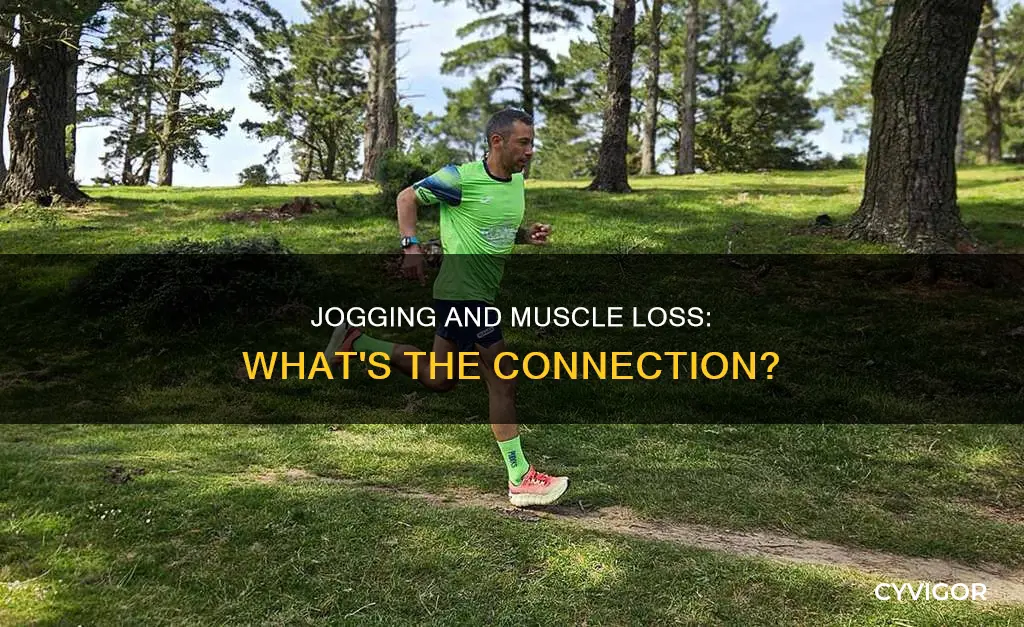 Jogging And Muscle Loss: What's The Connection? | CyVigor