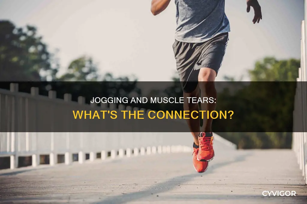 Jogging And Muscle Tears: What's The Connection? | CyVigor