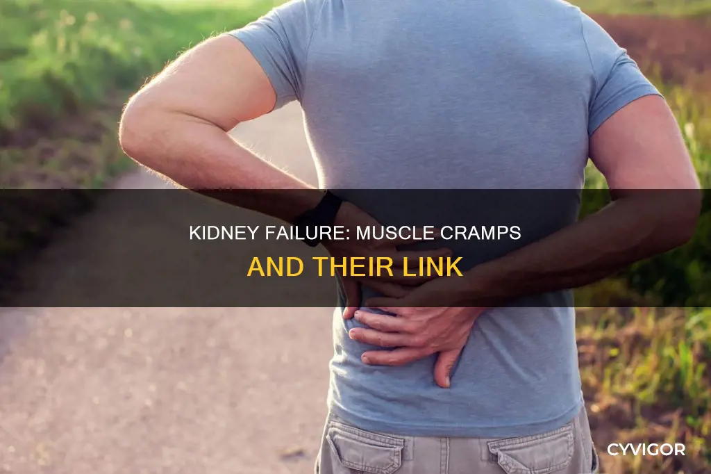 Kidney Failure: Muscle Cramps And Their Link | CyVigor