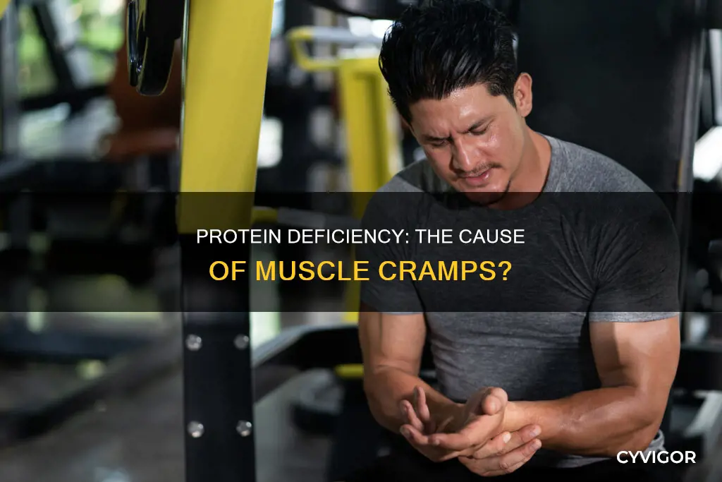 Protein Deficiency: The Cause Of Muscle Cramps? | CyVigor
