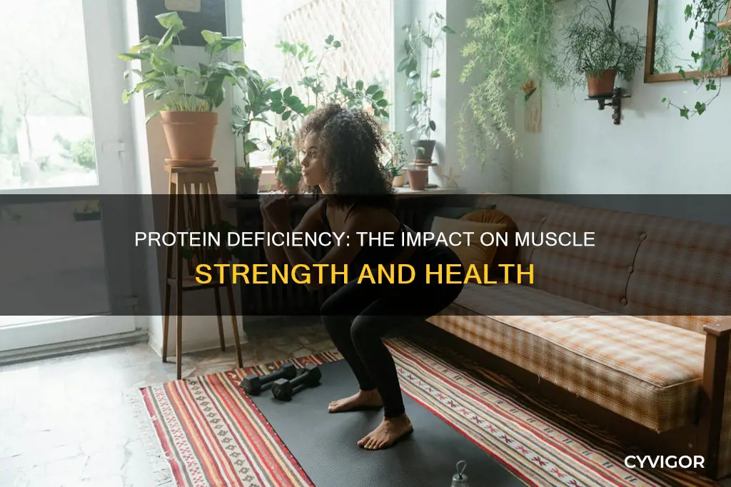 Protein Deficiency: The Impact On Muscle Strength And Health | CyVigor