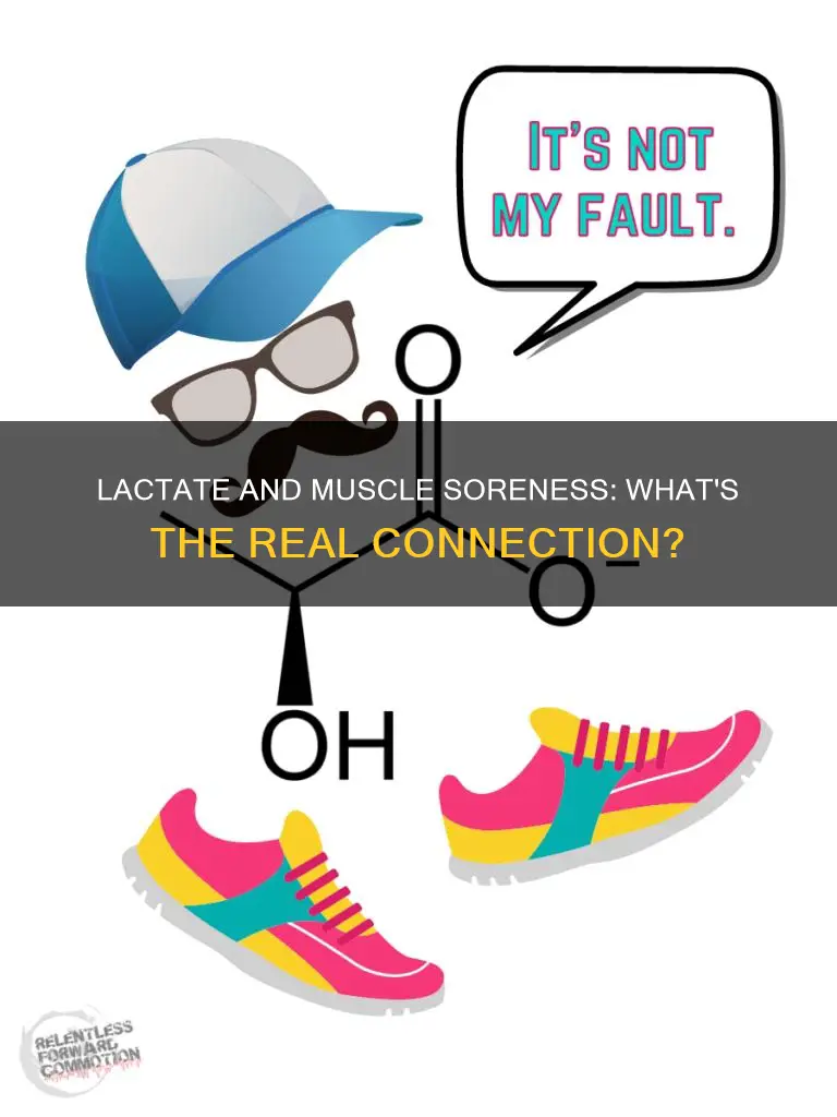 Lactate And Muscle Soreness: What's The Real Connection? | CyVigor