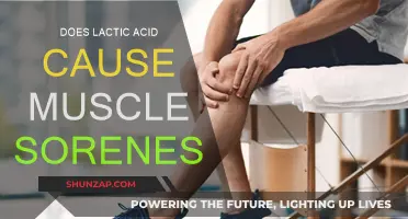 Pulled Muscles: Why Bruising May Occur And How To Treat It | CyVigor