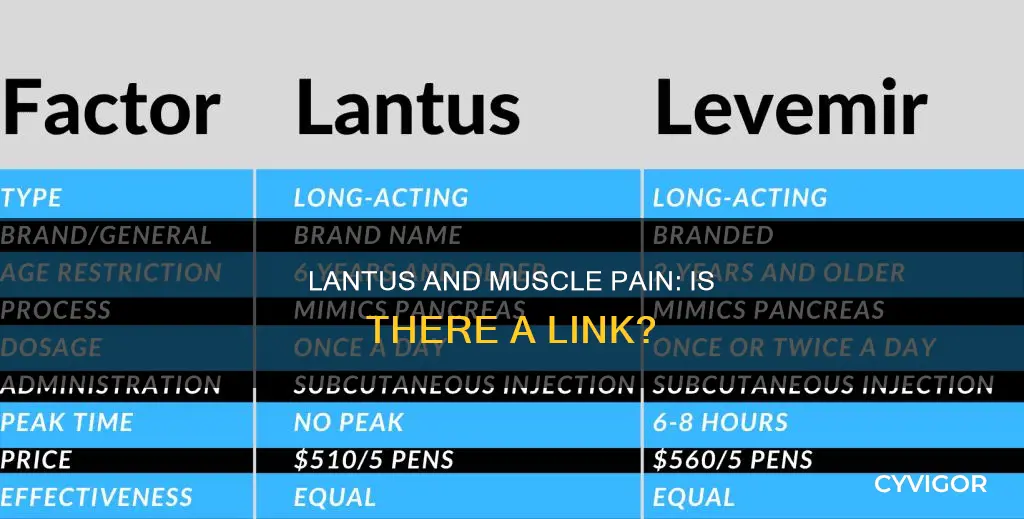 Lantus And Muscle Pain: Is There A Link? | CyVigor