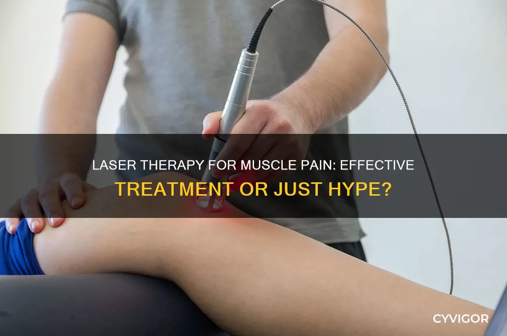 Laser Therapy For Muscle Pain: Effective Treatment Or Just Hype? | CyVigor