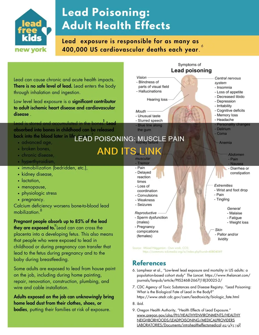 Lead Poisoning: Muscle Pain And Its Link | CyVigor