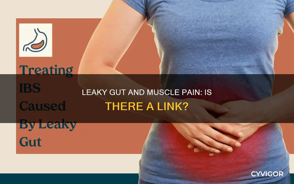 Leaky Gut And Muscle Pain: Is There A Link? | CyVigor