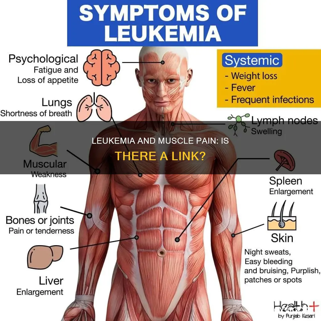 Leukemia And Muscle Pain: Is There A Link? | CyVigor