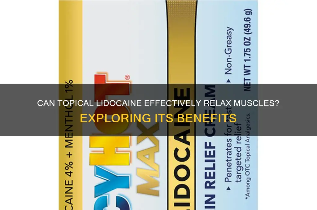 Can Topical Lidocaine Effectively Relax Muscles? Exploring Its Benefits ...