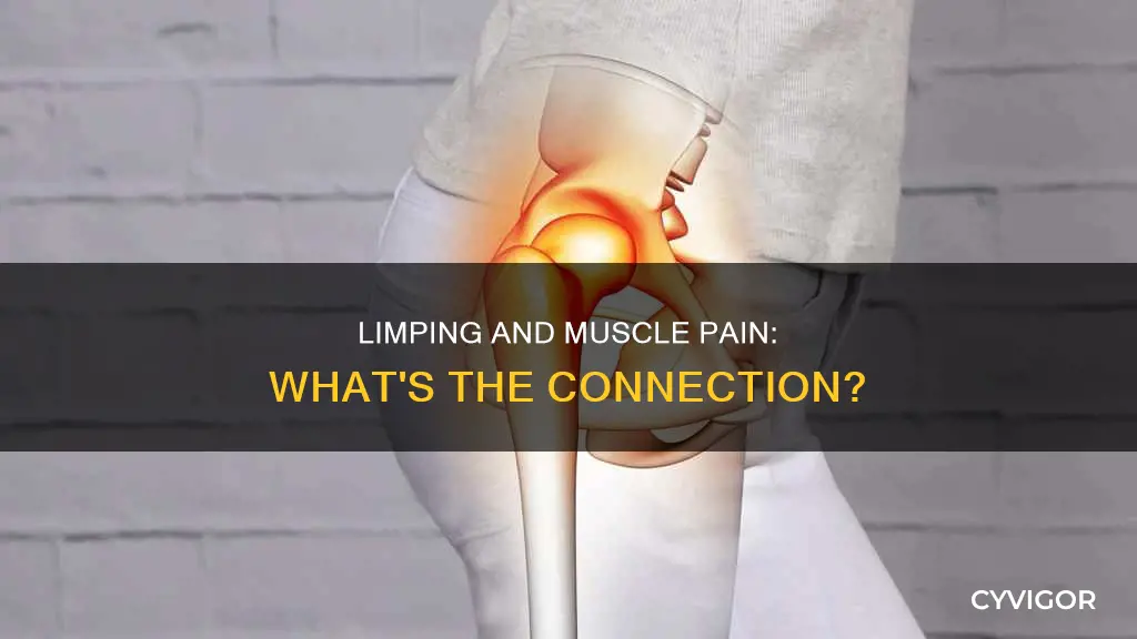 Limping And Muscle Pain: What's The Connection? | CyVigor