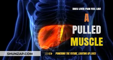 Pulled Thigh Muscle Recovery Time: What To Expect And How To Heal | CyVigor