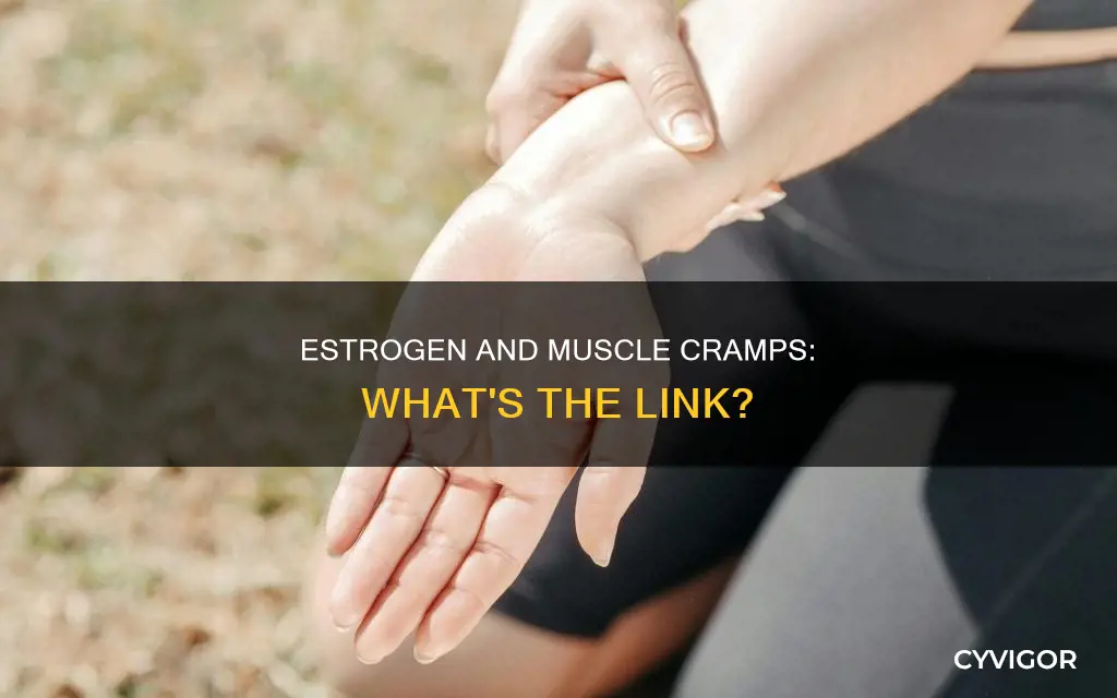 Estrogen And Muscle Cramps: What's The Link? | CyVigor