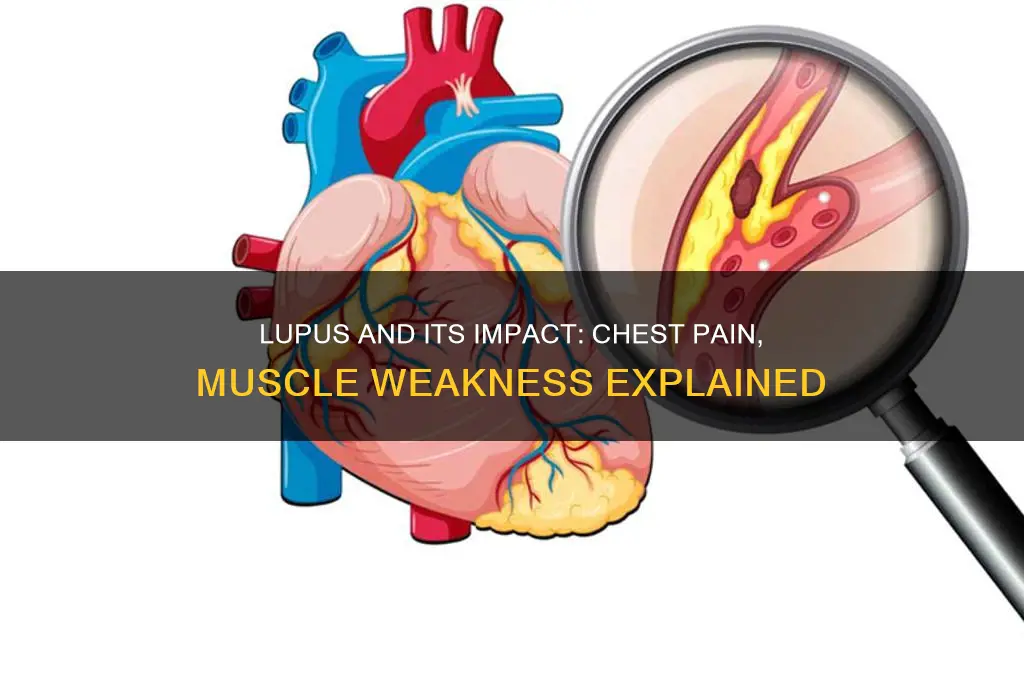 Lupus And Its Impact: Chest Pain, Muscle Weakness Explained | CyVigor