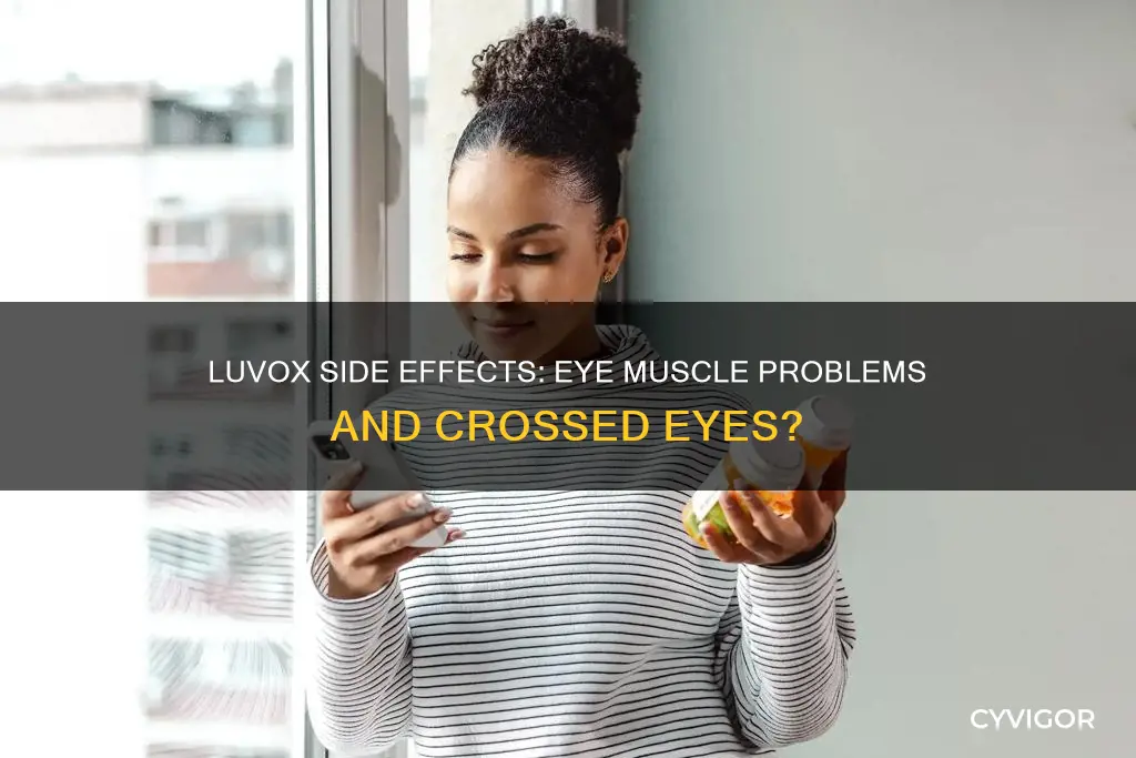 Luvox Side Effects: Eye Muscle Problems And Crossed Eyes? | CyVigor