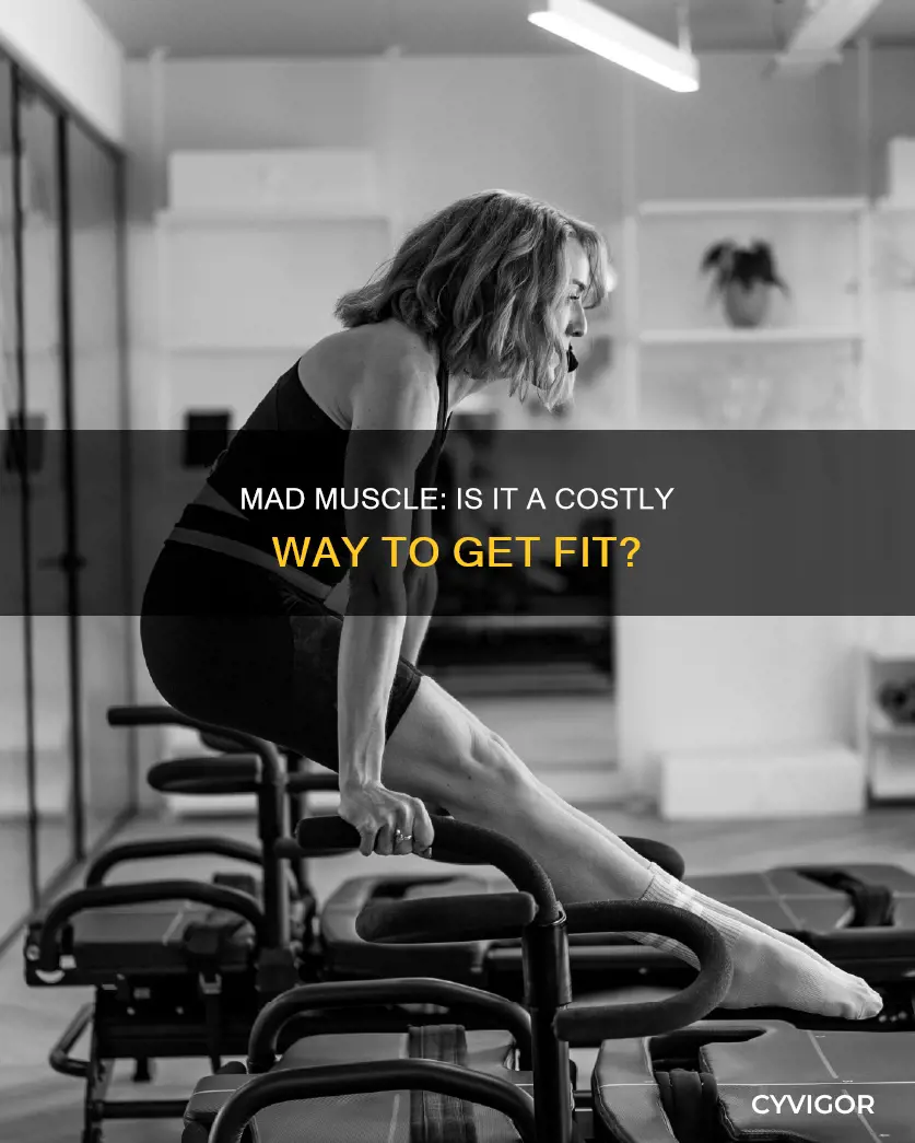 Mad Muscle: Is It A Costly Way To Get Fit? | CyVigor