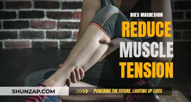 Mad Muscle: Is It A Costly Way To Get Fit? | CyVigor
