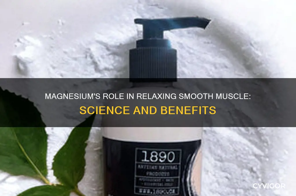 Magnesium's Role In Relaxing Smooth Muscle: Science And Benefits | CyVigor