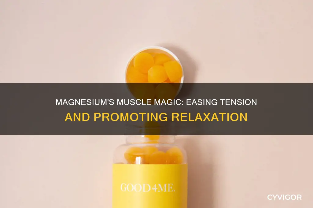 Magnesium's Muscle Magic: Easing Tension And Promoting Relaxation | CyVigor