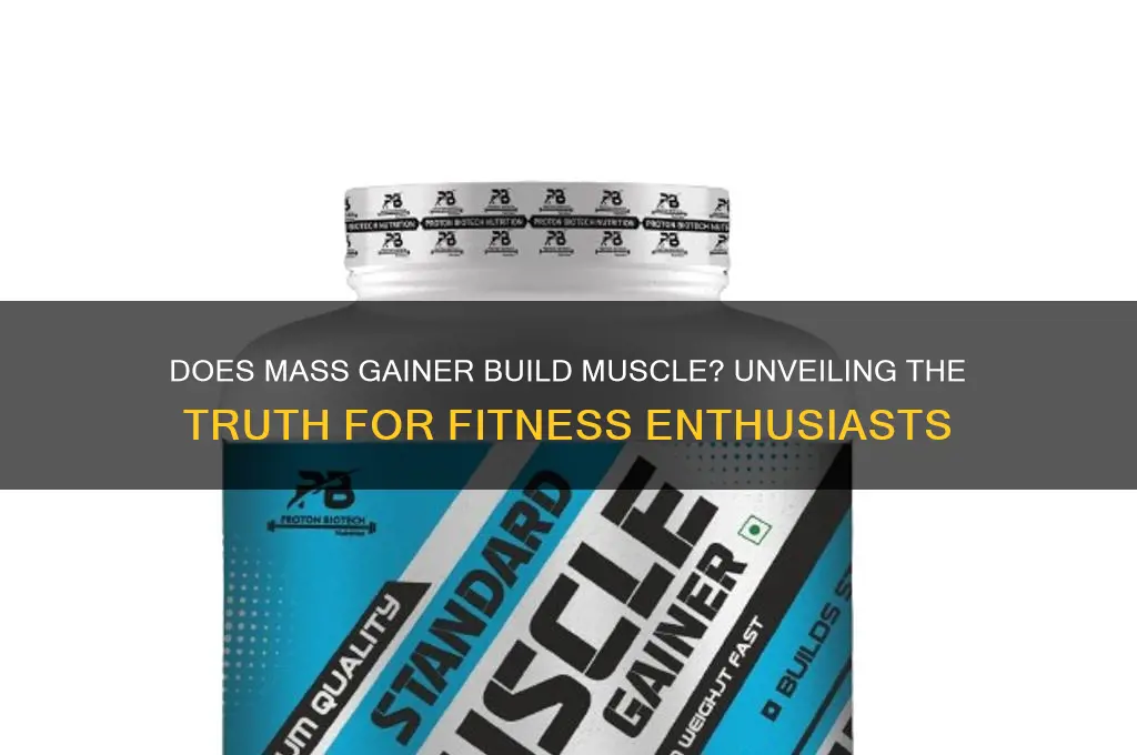 Does Mass Gainer Build Muscle? Unveiling The Truth For Fitness ...
