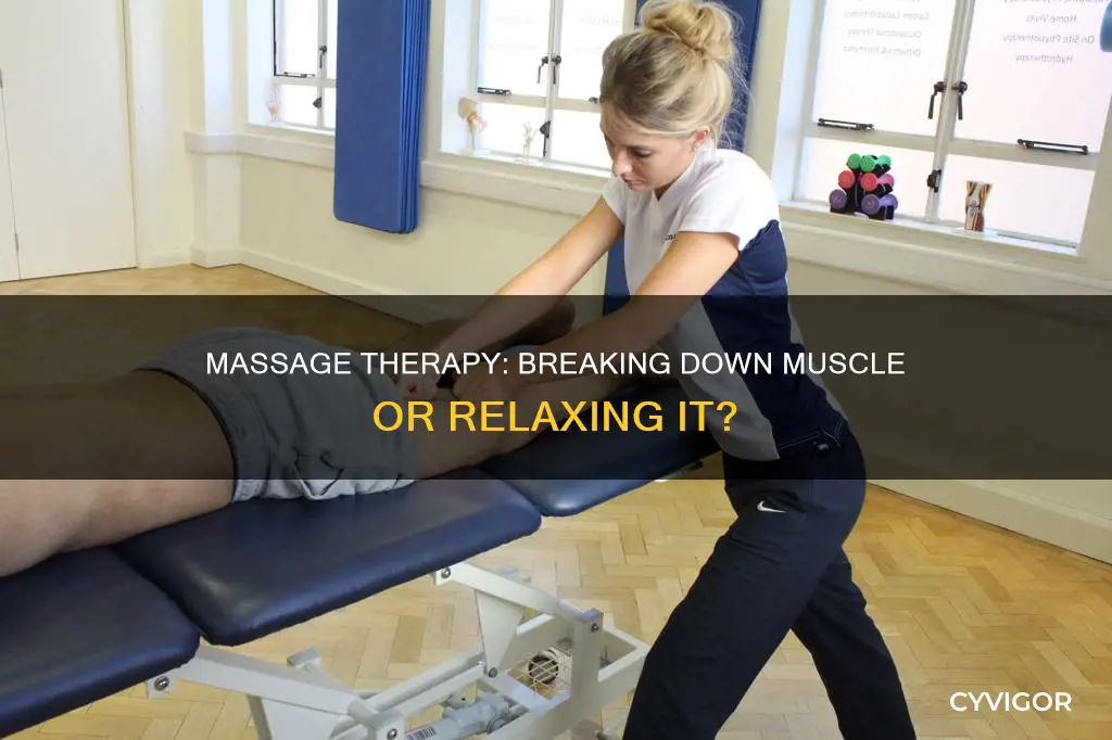 Massage Therapy: Breaking Down Muscle Or Relaxing It? | CyVigor