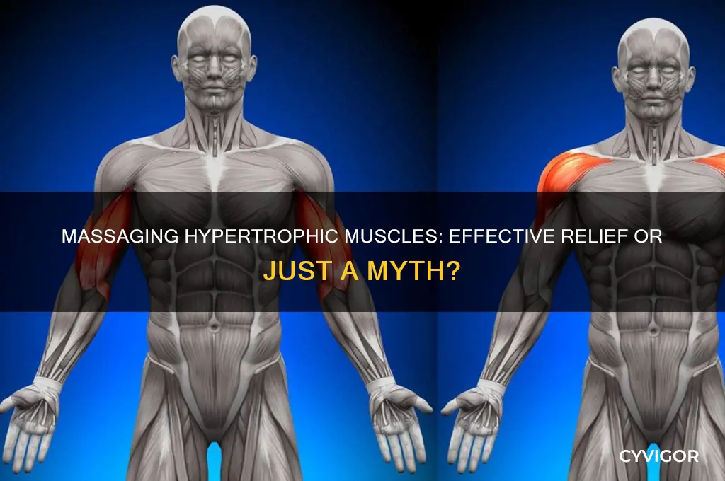 Massaging Hypertrophic Muscles: Effective Relief Or Just A Myth? | CyVigor