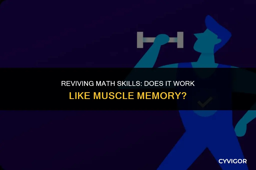 Reviving Math Skills: Does It Work Like Muscle Memory? | CyVigor