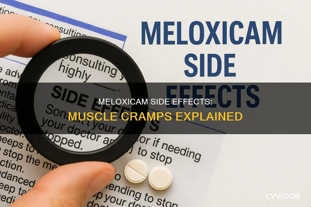 Meloxicam Side Effects: Muscle Cramps Explained | CyVigor