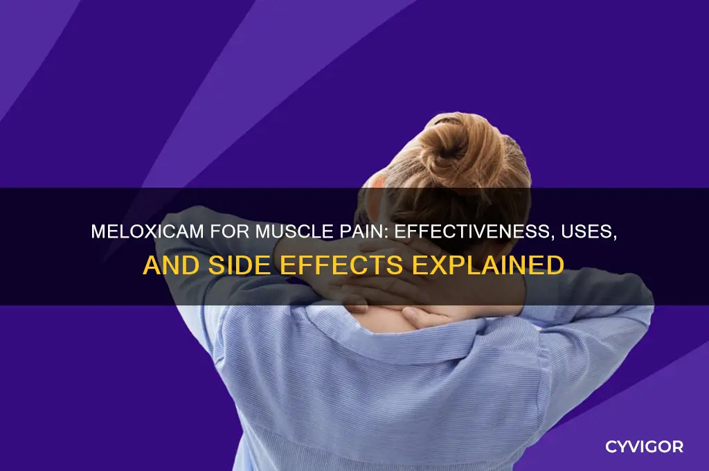 Meloxicam For Muscle Pain: Effectiveness, Uses, And Side Effects ...