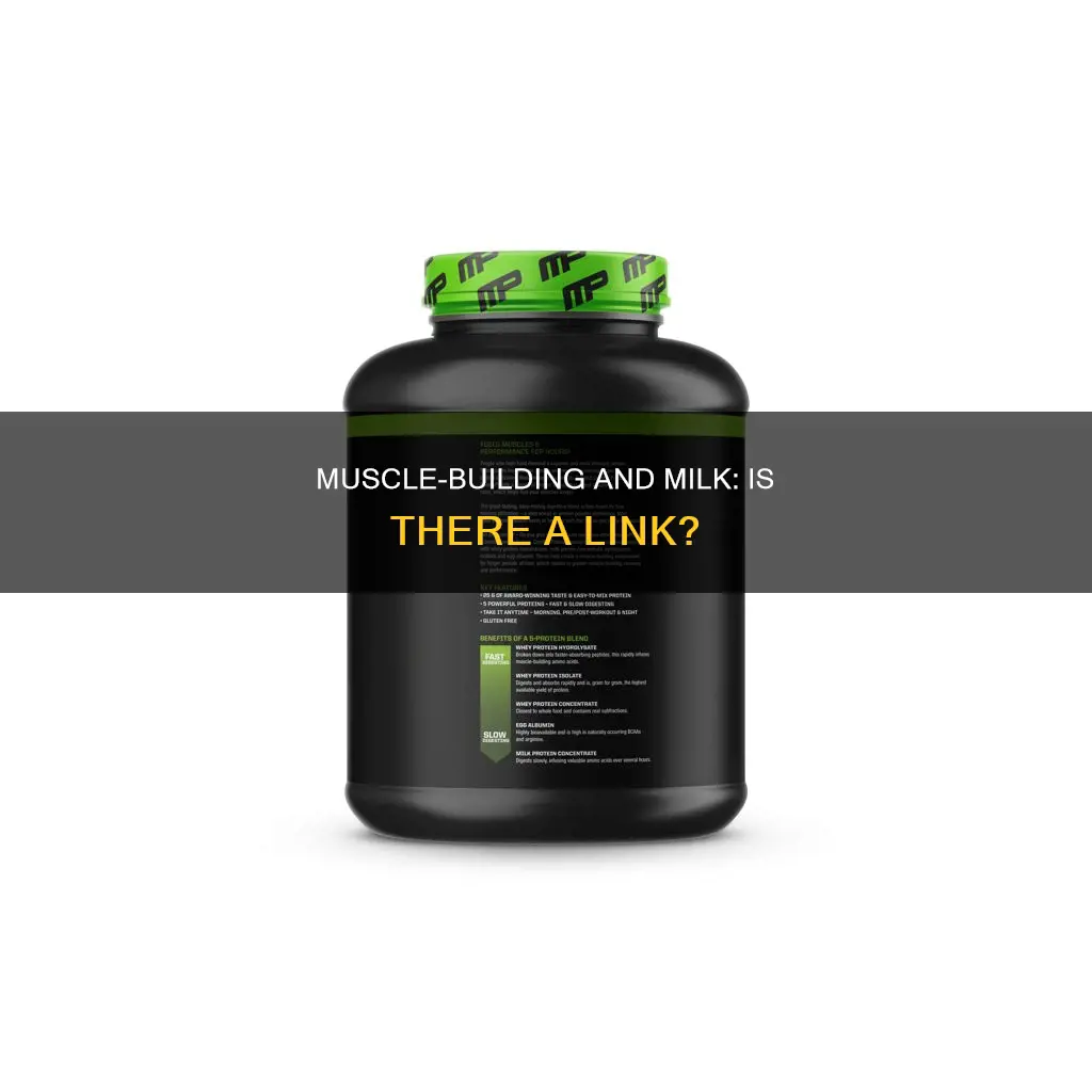 Muscle-Building And Milk: Is There A Link? | CyVigor