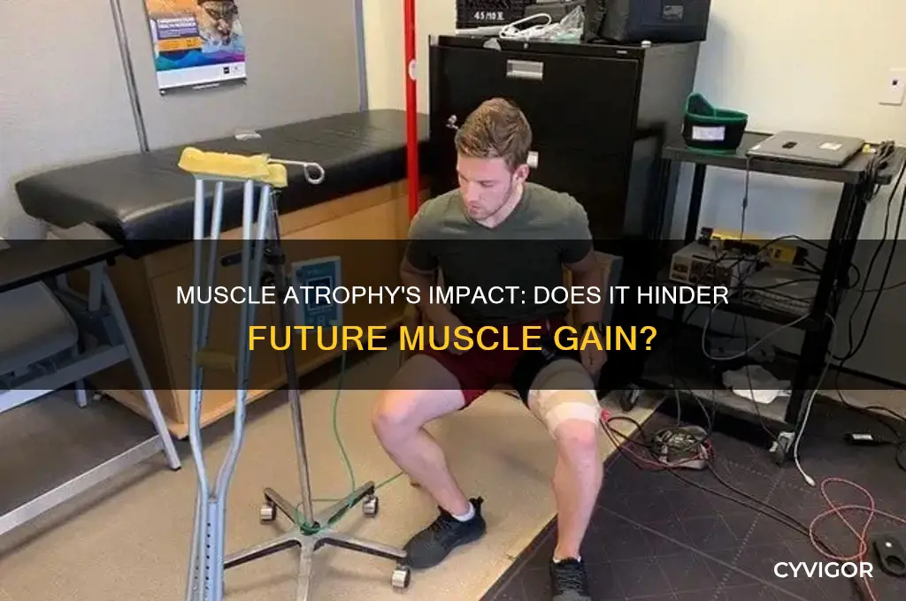 Muscle Atrophy's Impact: Does It Hinder Future Muscle Gain? | CyVigor