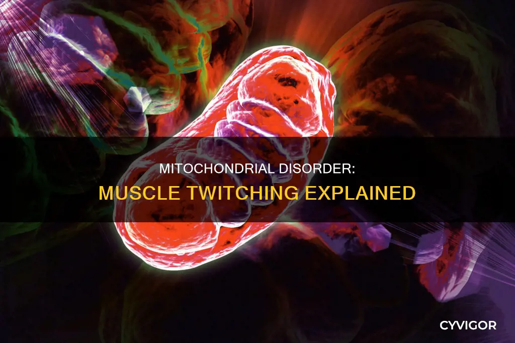 Mitochondrial Disorder: Muscle Twitching Explained | CyVigor