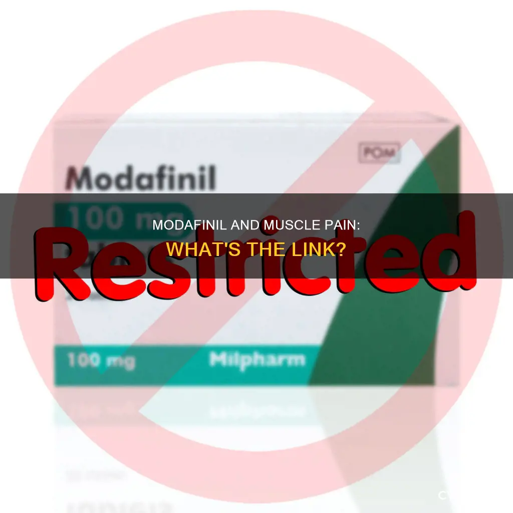 Modafinil And Muscle Pain: What's The Link? | CyVigor