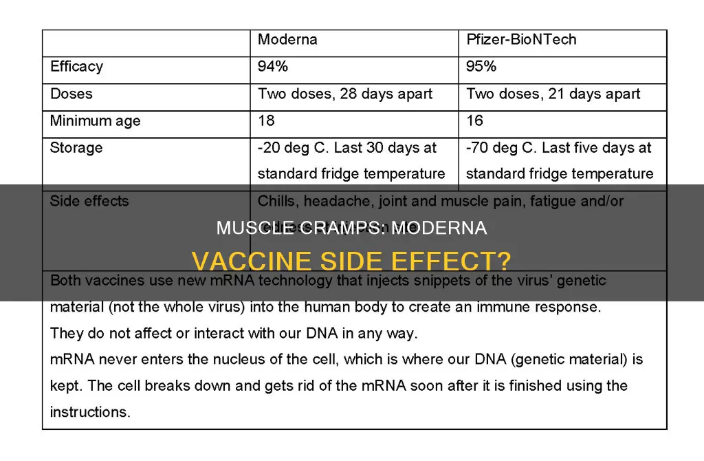 Muscle Cramps: Moderna Vaccine Side Effect? | CyVigor