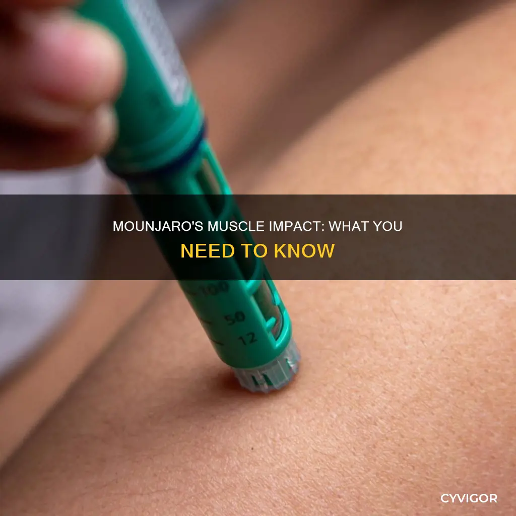 Mounjaro's Muscle Impact: What You Need To Know | CyVigor
