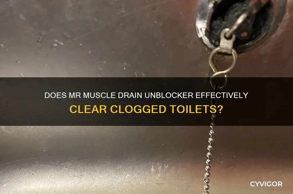 Does Mr Muscle Drain Unblocker Effectively Clear Clogged Toilets? | CyVigor