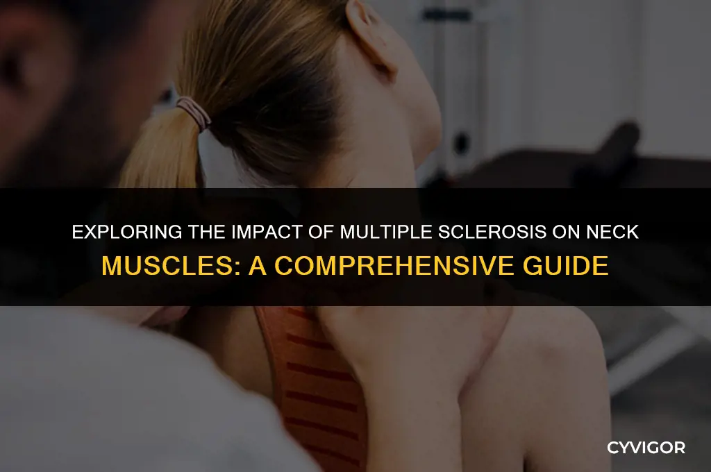 Exploring The Impact Of Multiple Sclerosis On Neck Muscles: A ...
