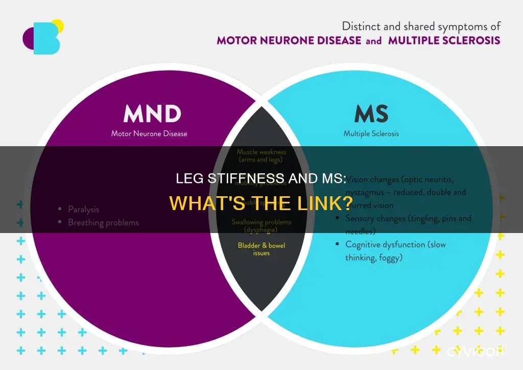 Leg Stiffness And Ms: What's The Link? | CyVigor