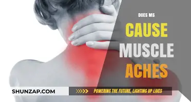 Mri Scans: Can They Cause Muscle Twitching? | CyVigor