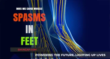 Muscle Atrophy: Leg Pain And Treatment | CyVigor