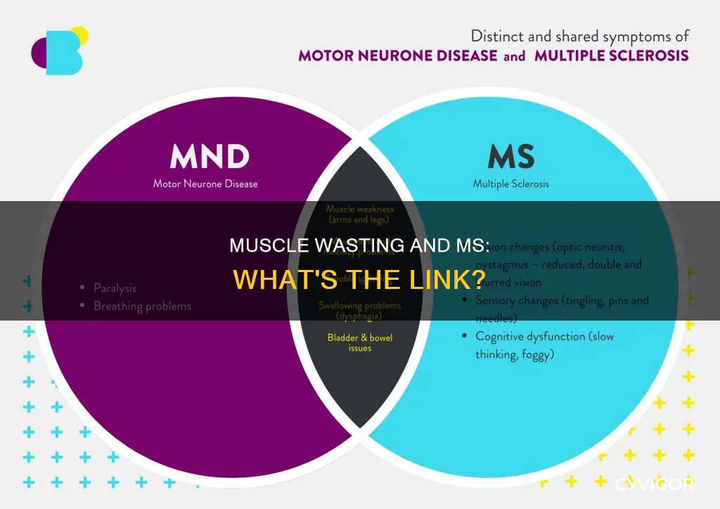 Muscle Wasting And Ms: What's The Link? | CyVigor