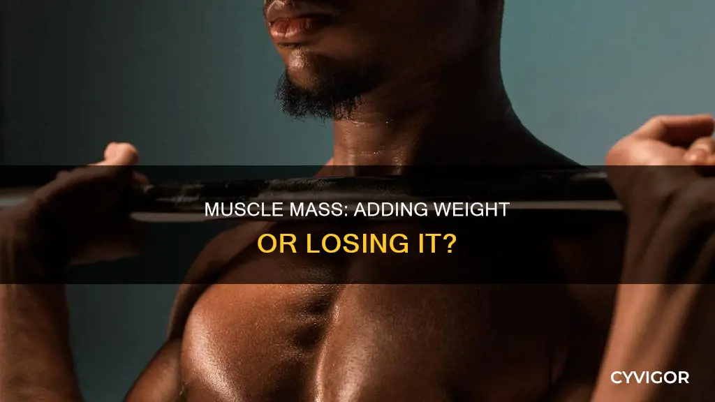 Muscle Mass: Adding Weight Or Losing It? | CyVigor
