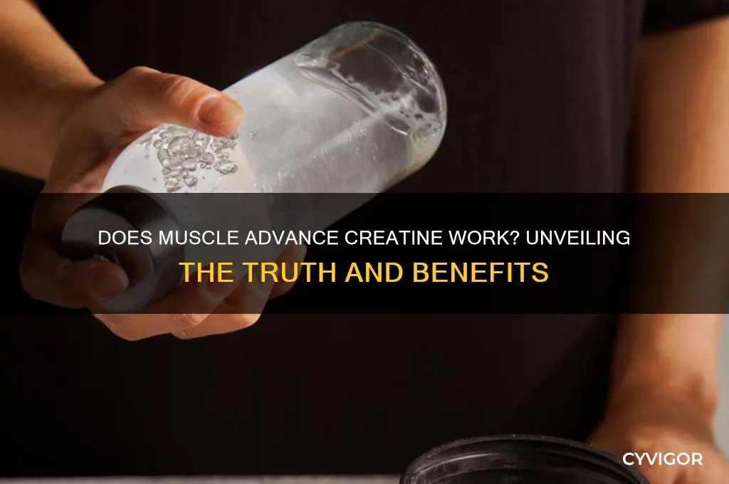 Does Muscle Advance Creatine Work? Unveiling The Truth And Benefits ...