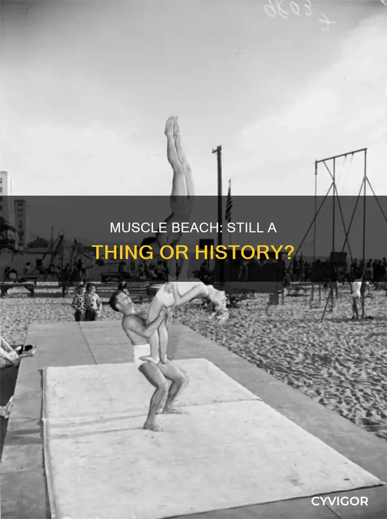 Muscle Beach: Still A Thing Or History? | CyVigor