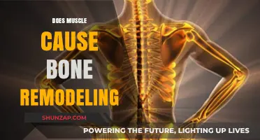 Muscle Atrophy: Leg Pain And Treatment | CyVigor