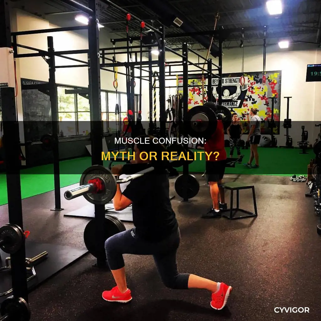 Muscle Confusion: Myth Or Reality? | CyVigor