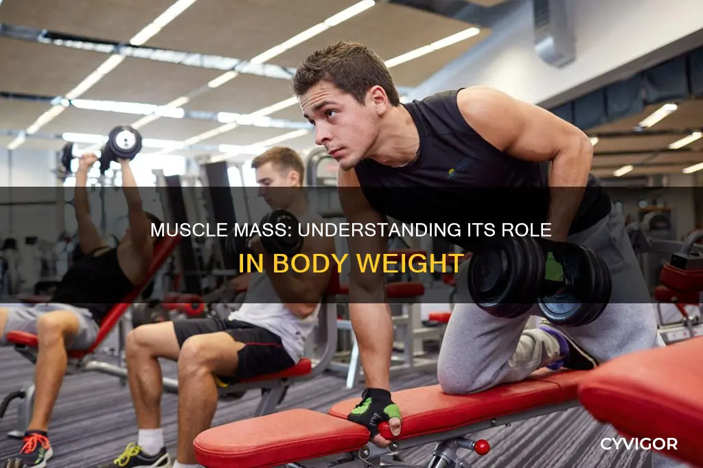 Muscle Mass: Understanding Its Role In Body Weight | CyVigor