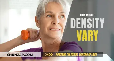 Muscle Tissue And Blood: What's The Connection? | CyVigor