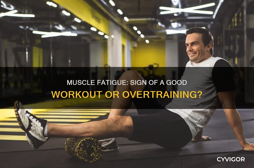 Muscle Fatigue: Sign Of A Good Workout Or Overtraining? | CyVigor