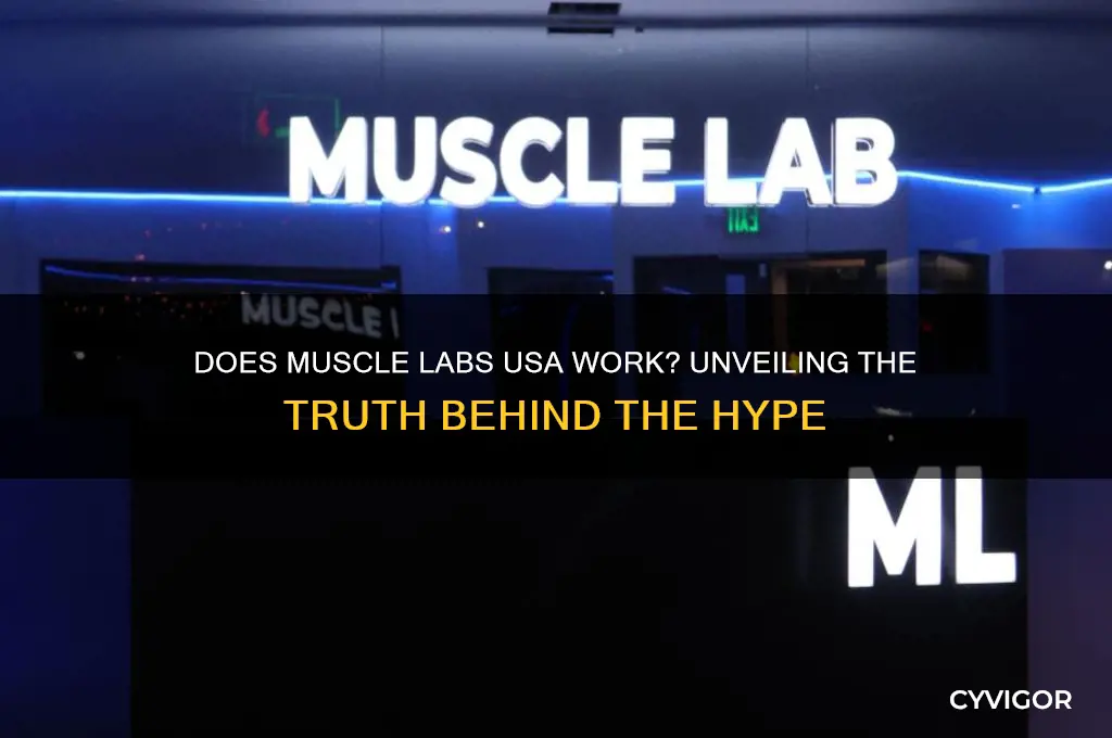 Does Muscle Labs Usa Work? Unveiling The Truth Behind The Hype | CyVigor