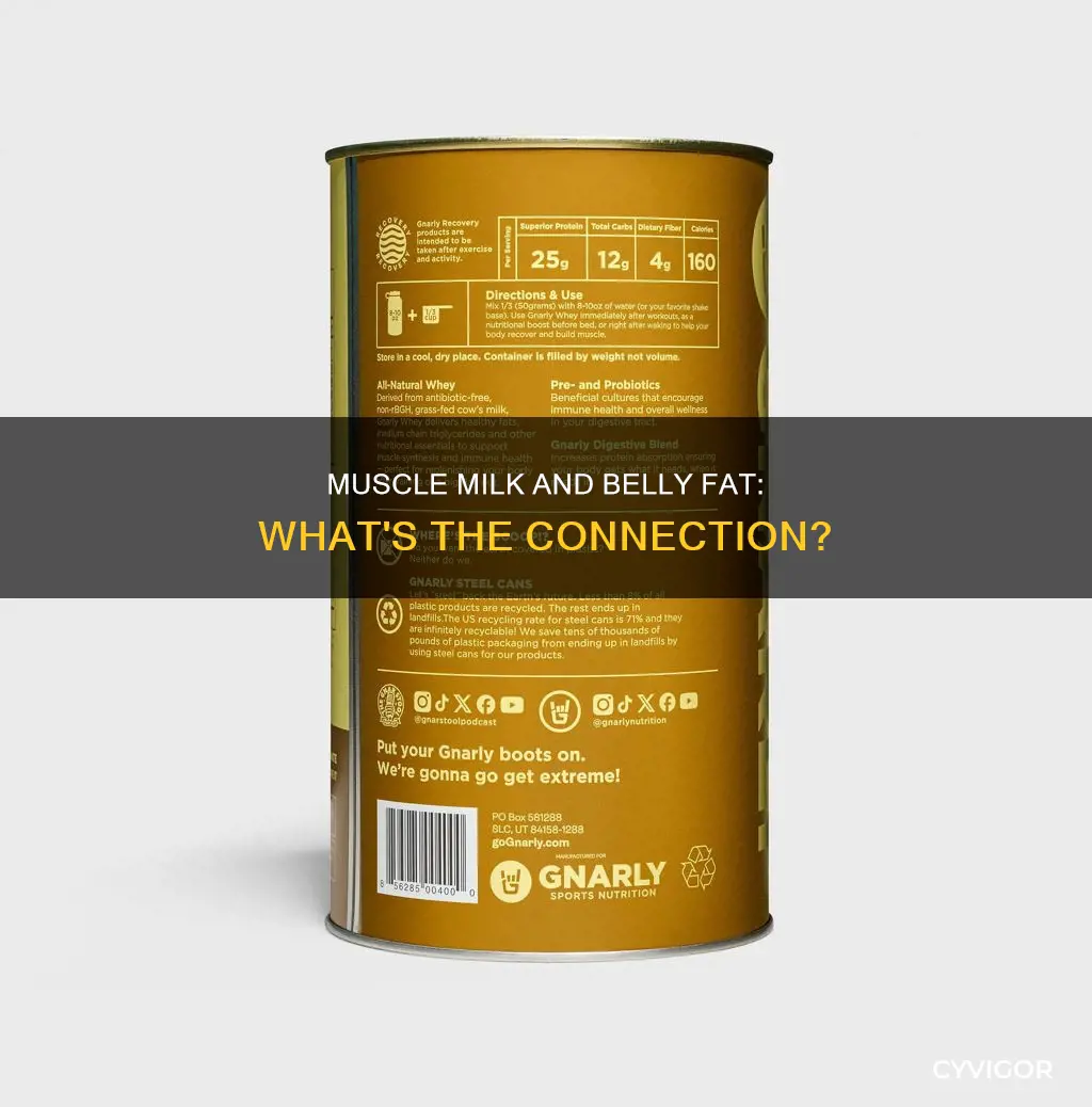 Muscle Milk And Belly Fat: What's The Connection? | CyVigor